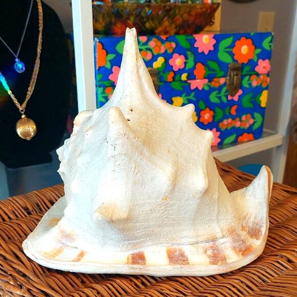 Vintage | Accents | Elegant Large Horned Queen Helmet Seashell Shell ...